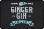 Ginger Gin Typeface - MasterBundles