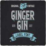 Ginger Gin Typeface - MasterBundles