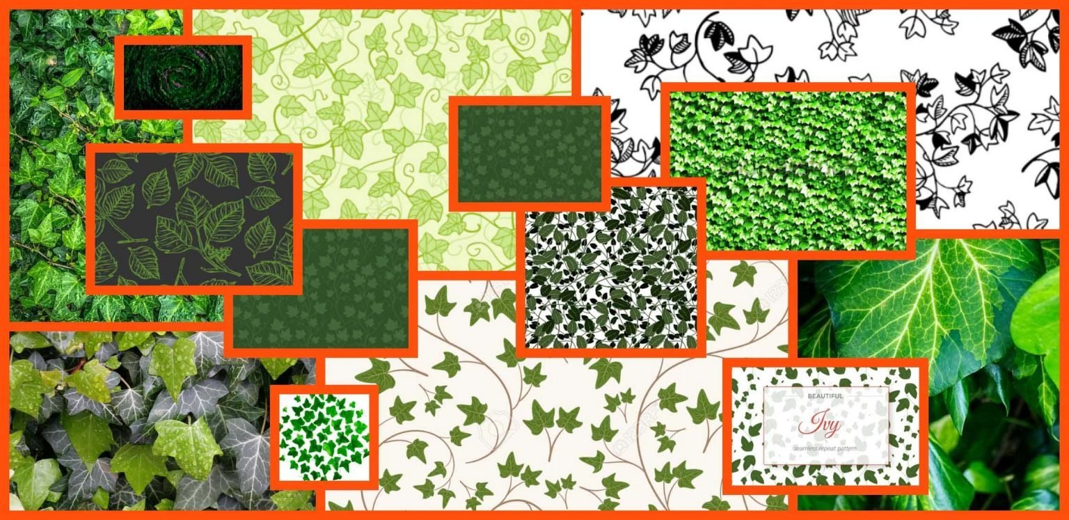 25+ Best Ivy Patterns Images in 2021 —MasterBundles