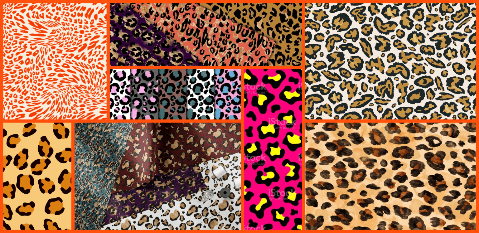 9 Best Cheetah Patterns for 2021: Free and Premium