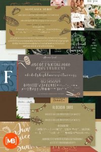 30+ Best Marketing Fonts for 2021. Best Free and Premium Fo | MasterBundles