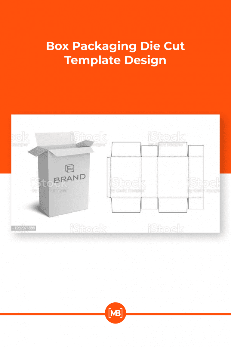 10+ Best Box Templates for 2021: Free and Premium