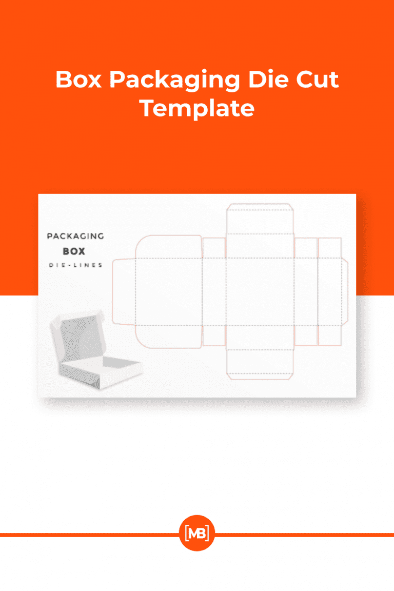 10+ Best Box Templates for 2021: Free and Premium
