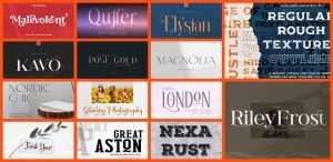 CS Nancy Font Family