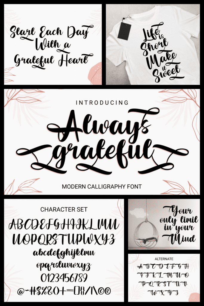 65+ Best Calligraphy Fonts for 2022: Free and Paid