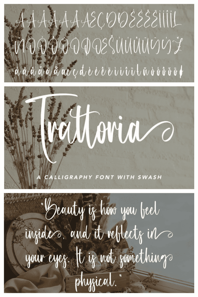 45+ Best Calligraphy Fonts for 2021. Best Free and Premium Fonts