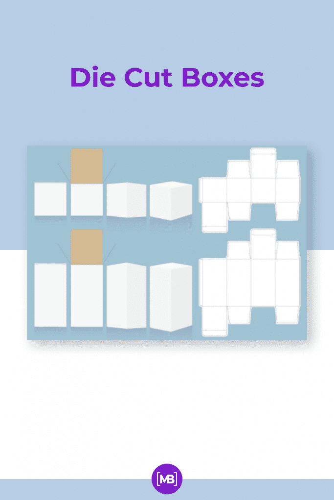 10+ Best Box Templates for 2021: Free and Premium