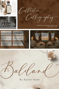 45+ Best Calligraphy Fonts for 2021. Best Free and Premium Fonts