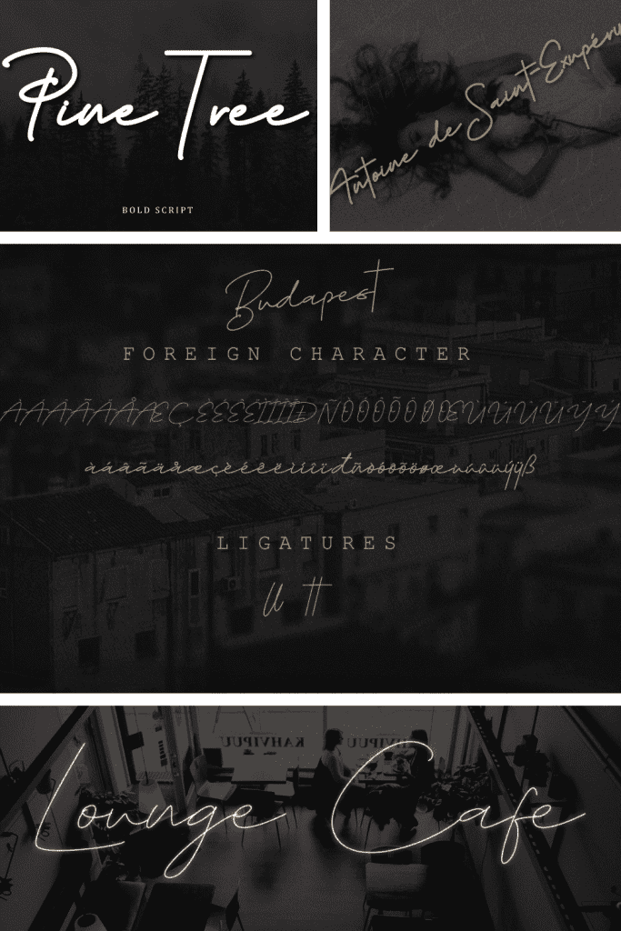 Best 30 Sharp Fonts for a Successful Brand Building 2021 | MasterBundles