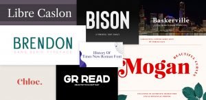 10+ Best Fonts for Ebooks in 2021: Free and Premium—MasterBundles