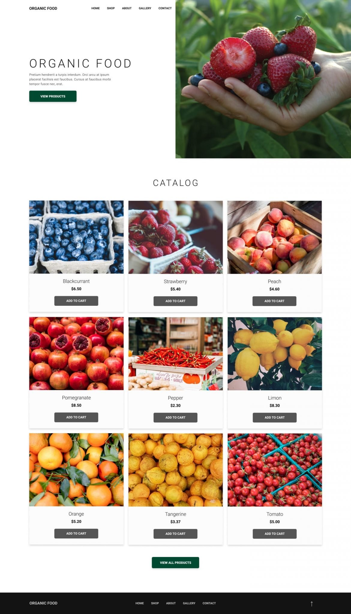 TwentyTwo - Catalog Organic Food Website Design PSD – MasterBundles