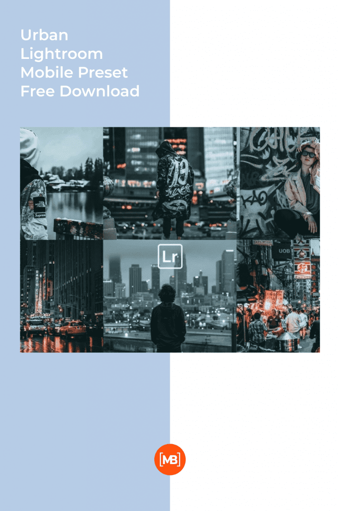 15+ Best Presets for Lightroom Mobile in 2021: Free and Premium