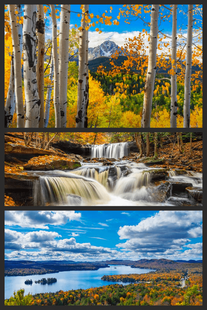 10+ Best Fall Wallpapers for 2021: Free and Premium | MasterBundles