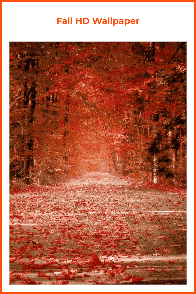 10+ Best Fall Wallpapers for 2021: Free and Premium | MasterBundles