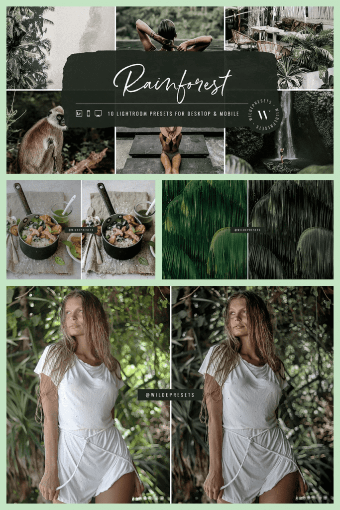 15+ Best Presets for Lightroom Mobile in 2021: Free and Premium