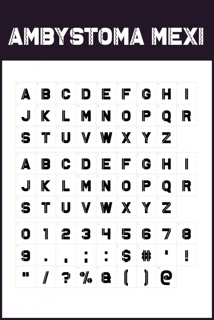 10+ Best Mexican Style Fonts in 2021:Free and Premium | MasterBundles