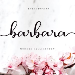 Barbara Calligraphy Script Font – MasterBundles