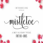 Mistletoe Font Duo Modern Font – MasterBundles