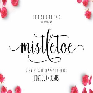 Mistletoe Font Duo Modern Font – MasterBundles