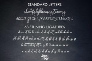 Attachment Elegant Font – MasterBundles
