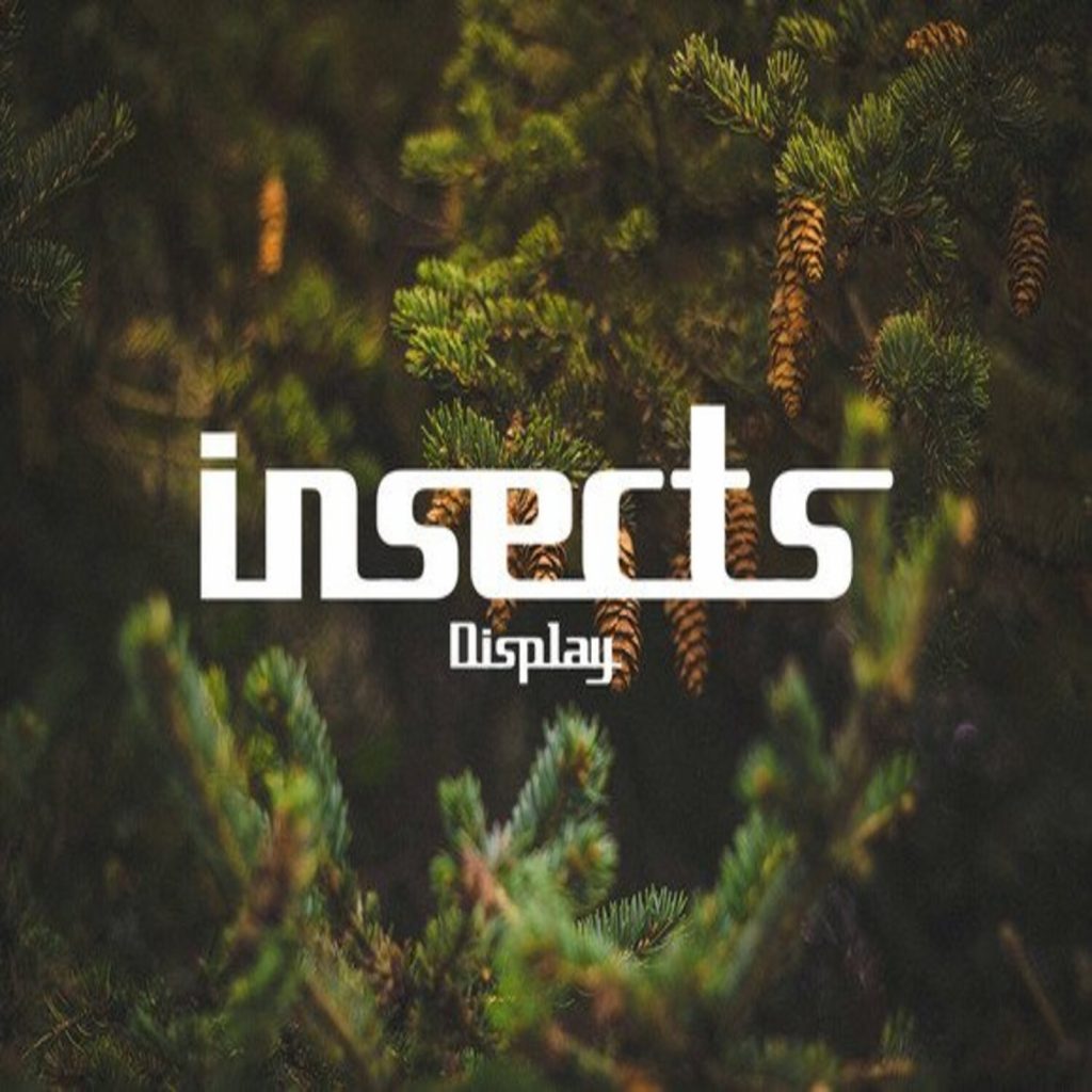 Insects Display Font – MasterBundles