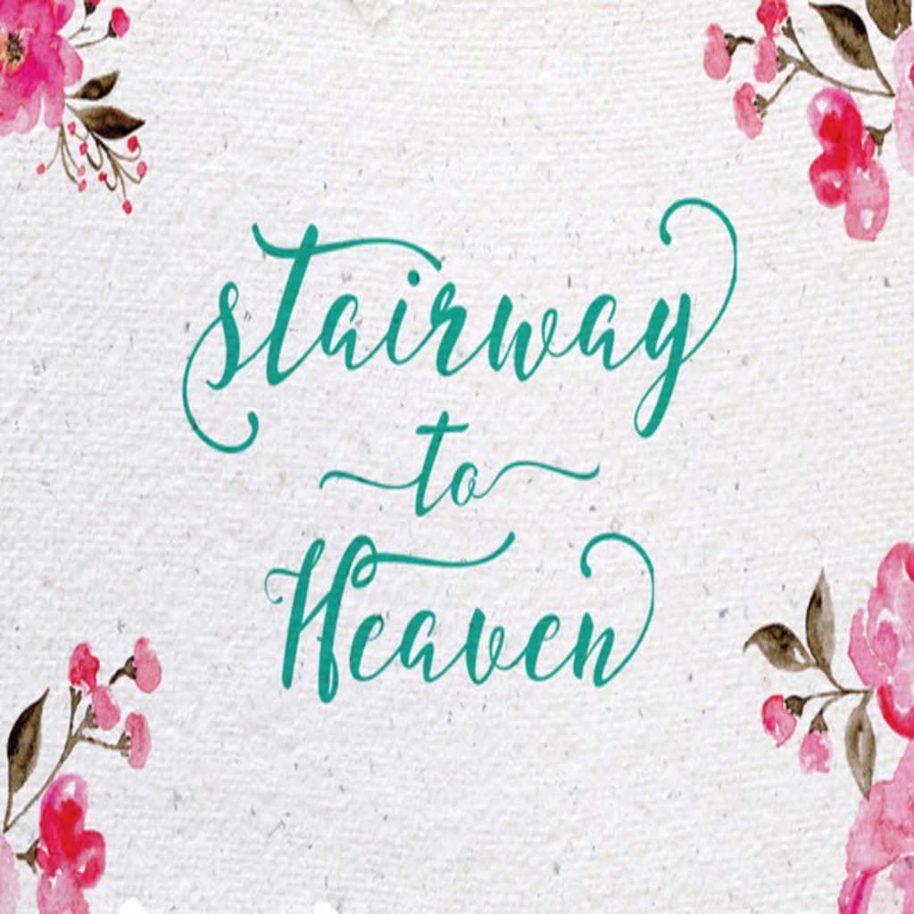 Monica Calligraphy Font – MasterBundles