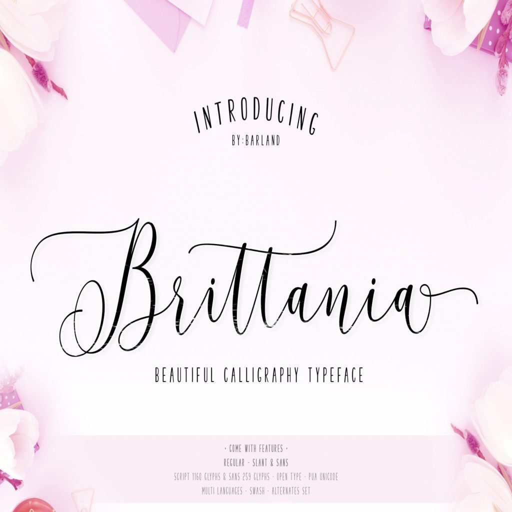 Brittania Script Font – MasterBundles
