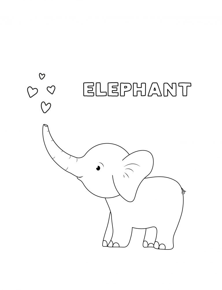 20 Animals and 11 Fruits Coloring Pages – MasterBundles