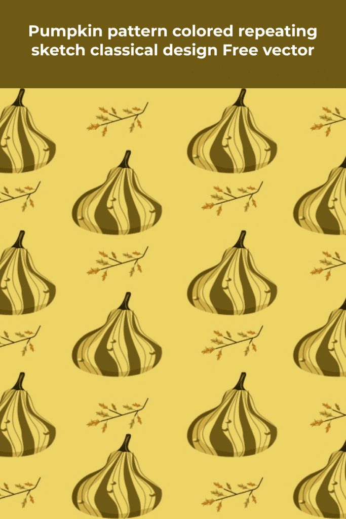 Best 10+ Pumpkin Patterns in 2021: Free and Premium