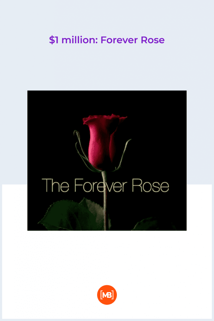 Crazy New World: The Most Expensive NFT Sales – MasterBundles