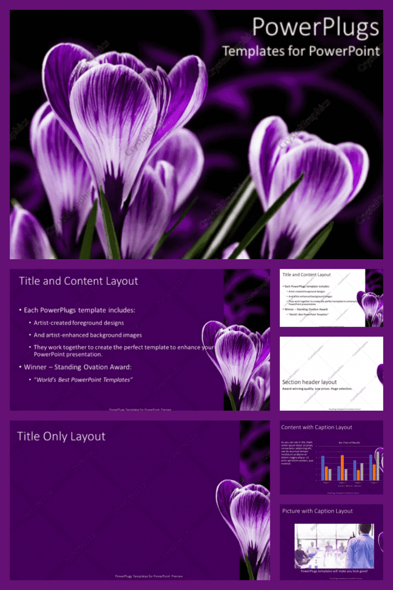 15+ Best Purple PowerPoint Templates in 2021: Free and Premium