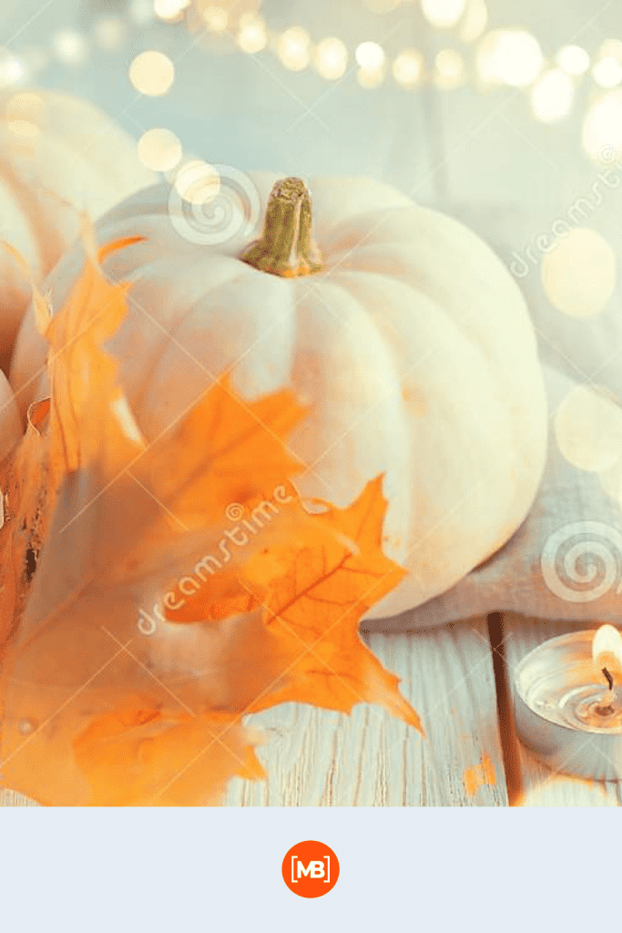 120+ Best Thanksgiving Background - MasterBundles