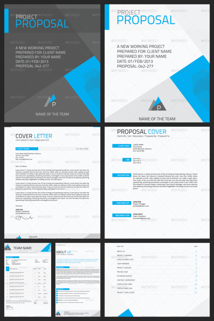 10+ Best Indesign Proposal Templates for 2021: Free and Premium