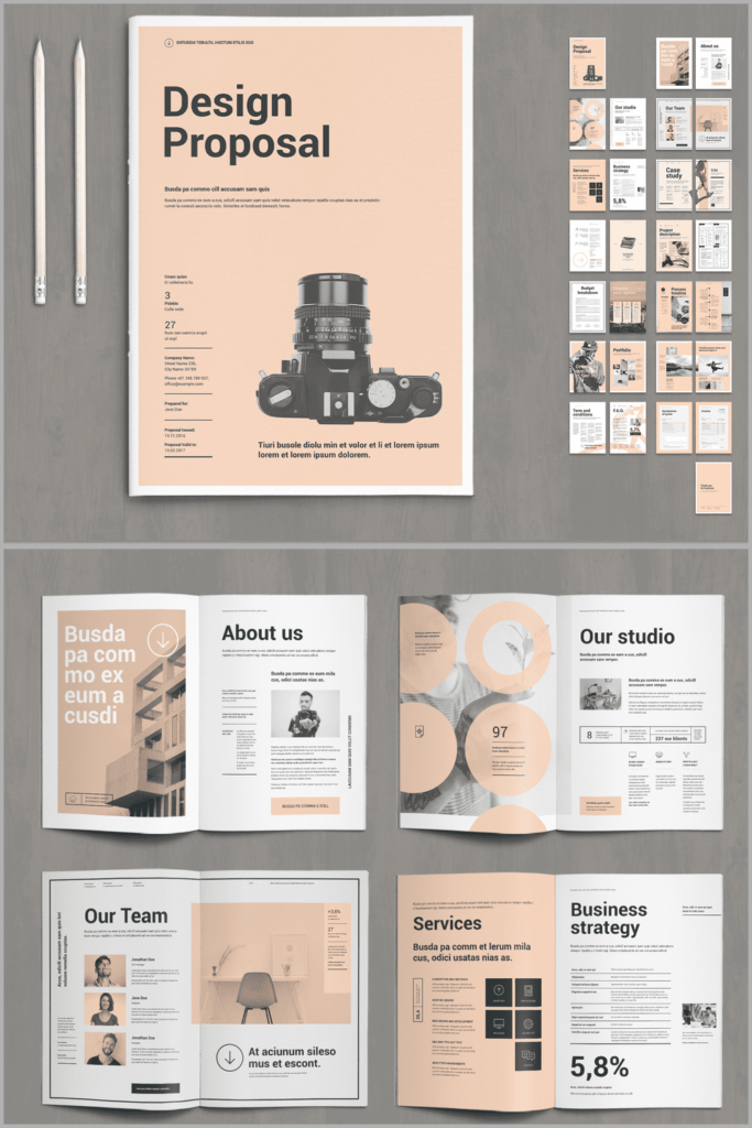 10+ Best Indesign Proposal Templates for 2021: Free and Premium