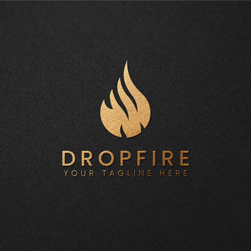 Drop Fire Logo Template – MasterBundles