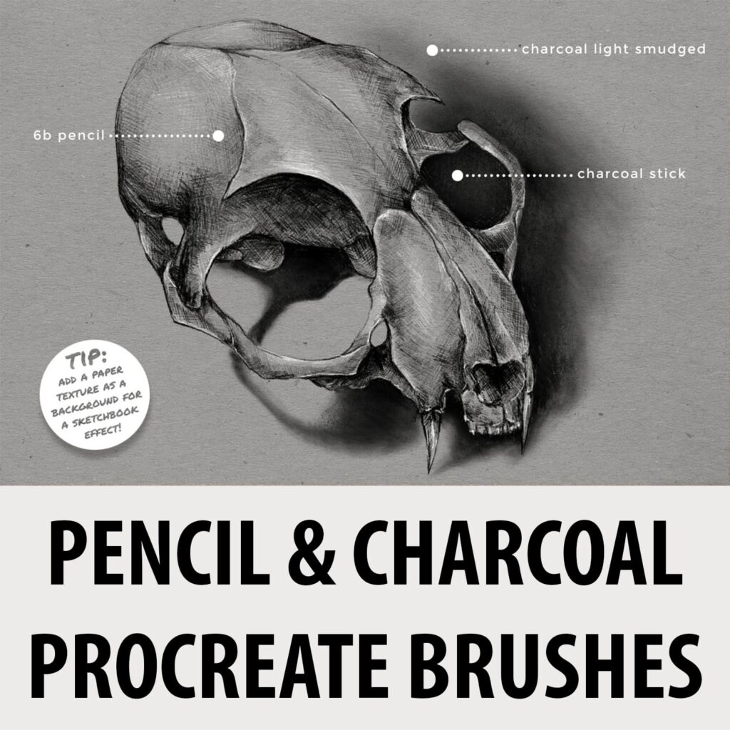 Pencil & Charcoal Procreate Brushes – MasterBundles