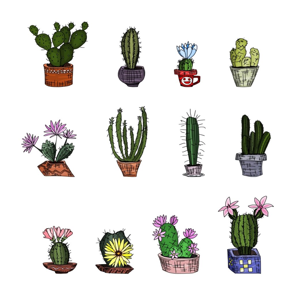 Doodle cactus - MasterBundles