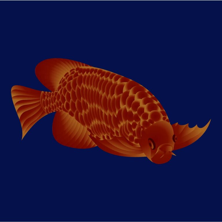 beautiful arowana fish vector illustration bundle set - MasterBundles