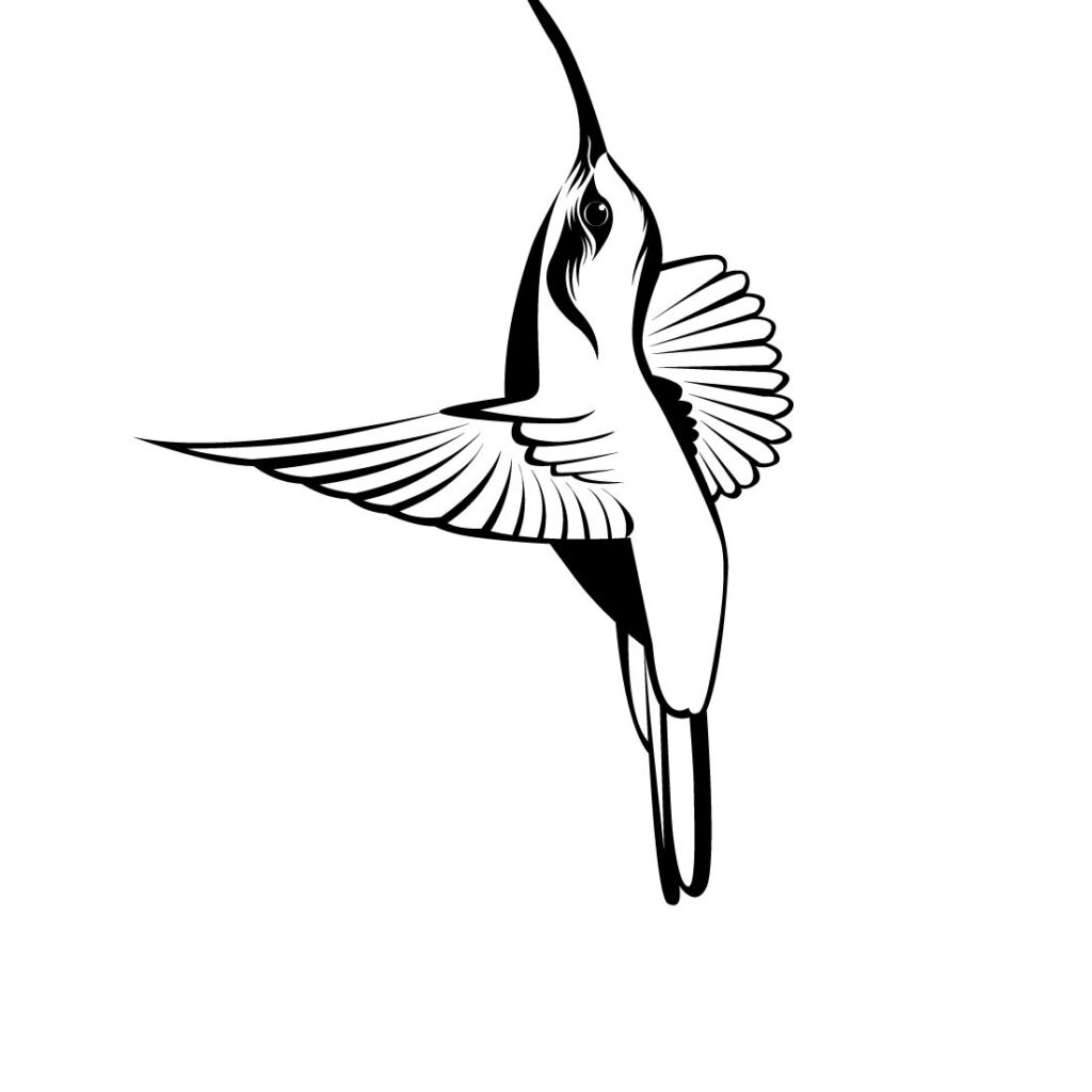 Beautiful hummingbird vector bundle - only $9 - MasterBundles