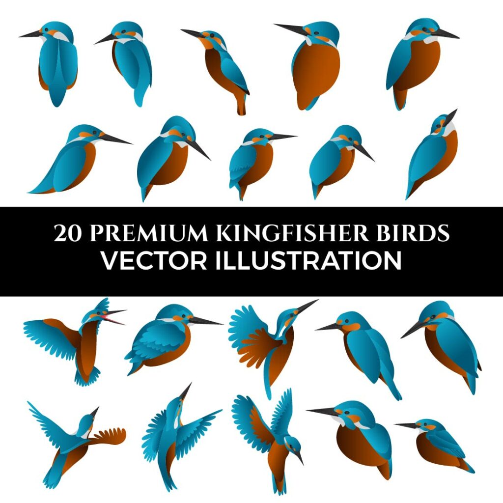 20 Premium Kingfisher birds vector illustration - only $10 - MasterBundles