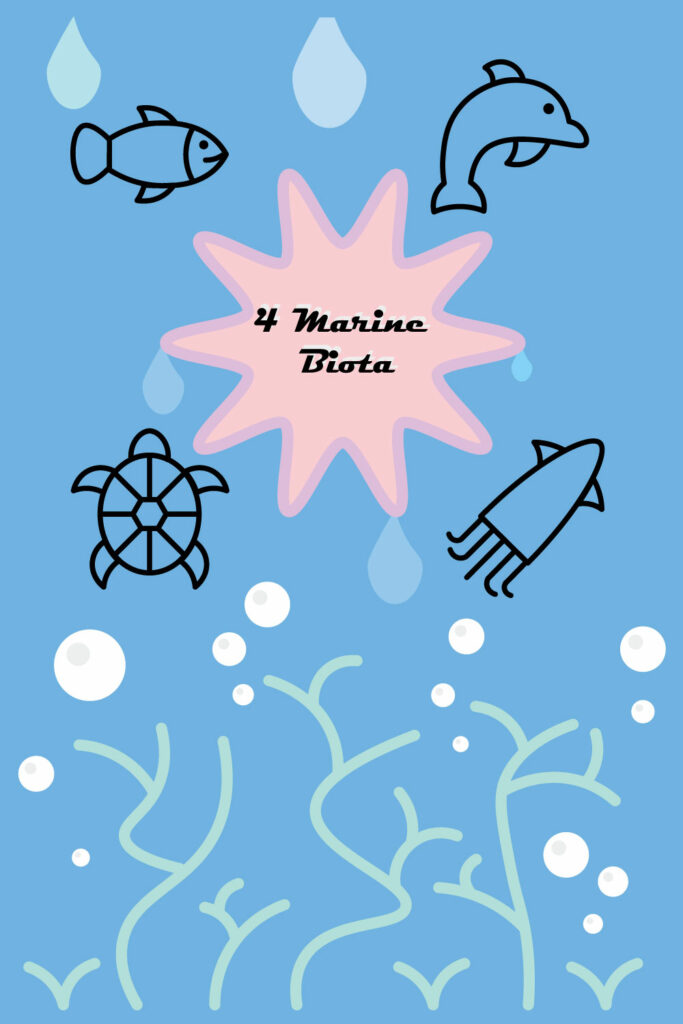 4 Marine Biota Outline Icon - Only $5 | Master Bundles