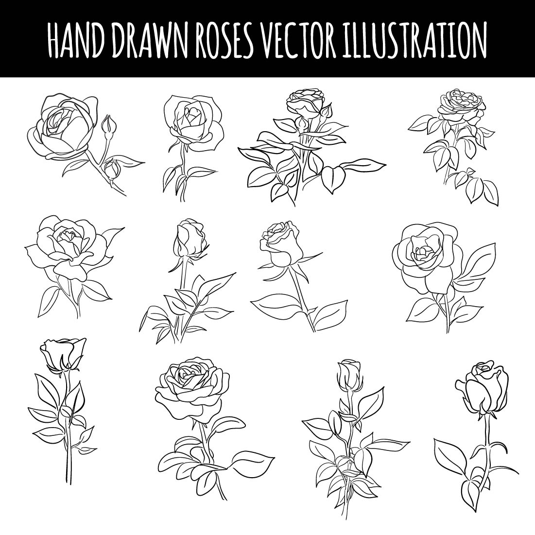 22 Hand drawn roses vector illustration - only $12 - MasterBundles