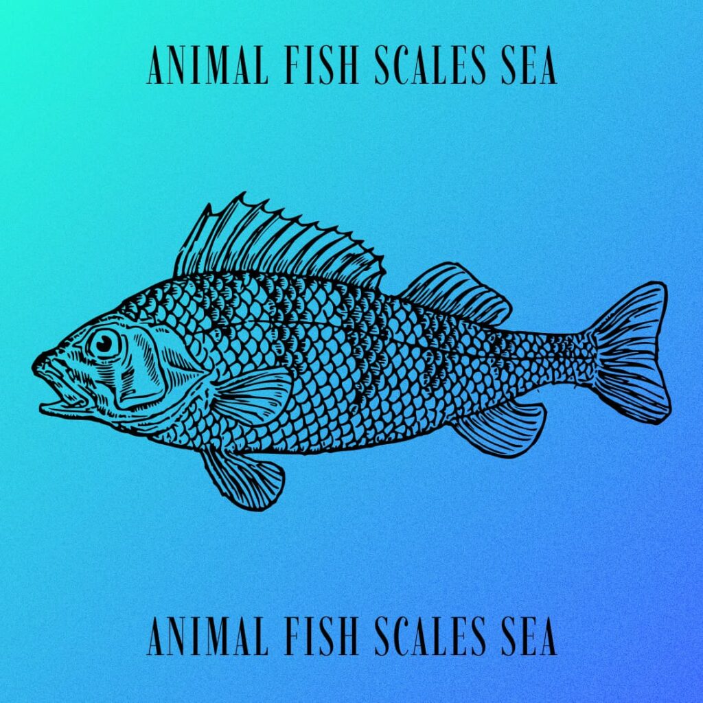 Free Animal Fish Scales Sea SVG – MasterBundles