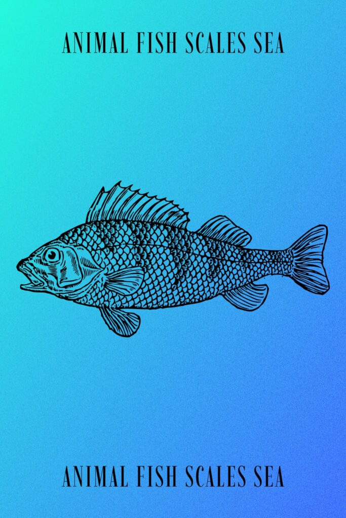 Free Animal Fish Scales Sea SVG – MasterBundles