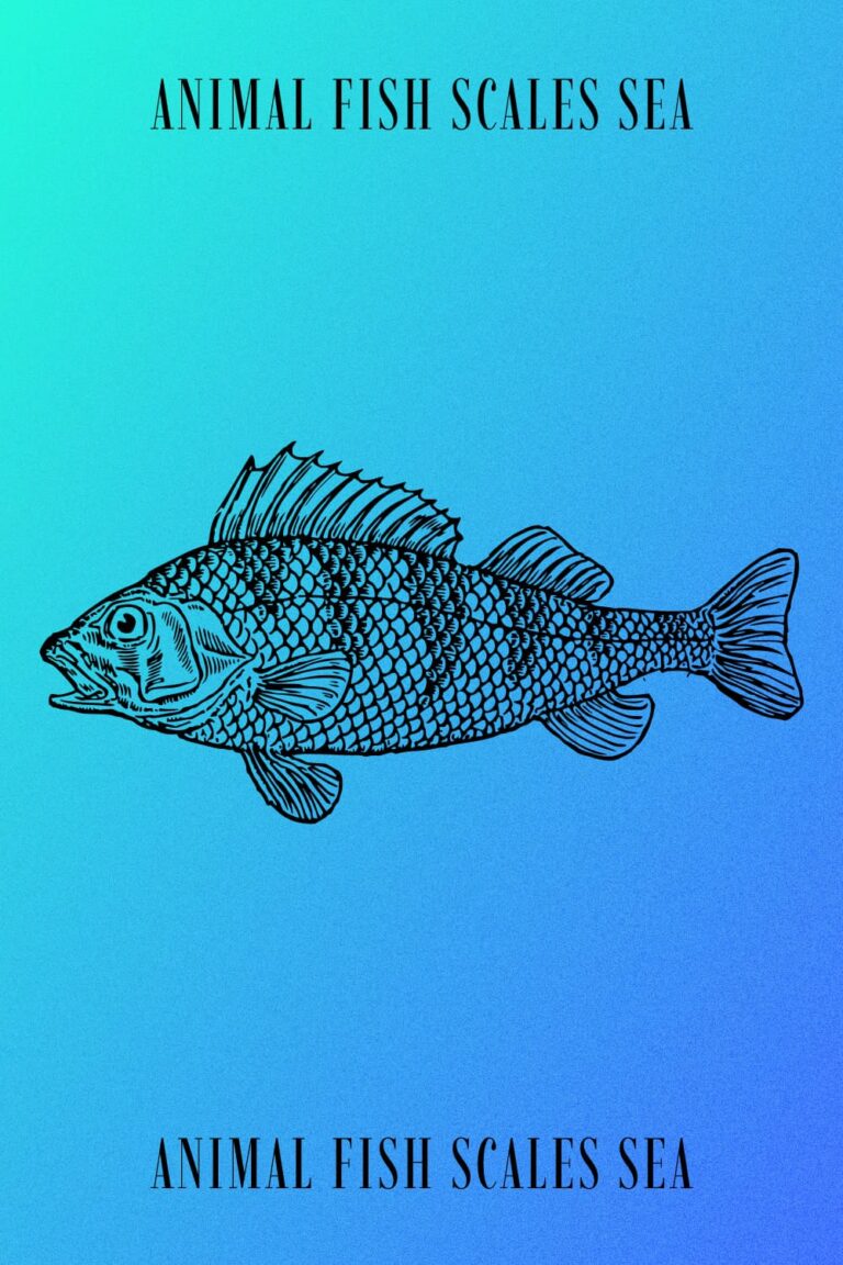 Free Animal Fish Scales Sea SVG – MasterBundles