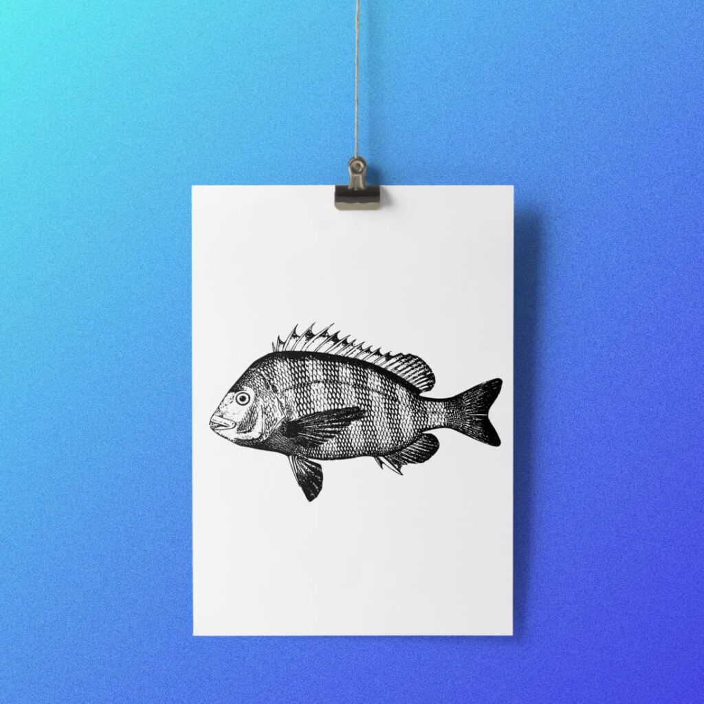 Free Animal Fish Ocean Sea SVG – MasterBundles