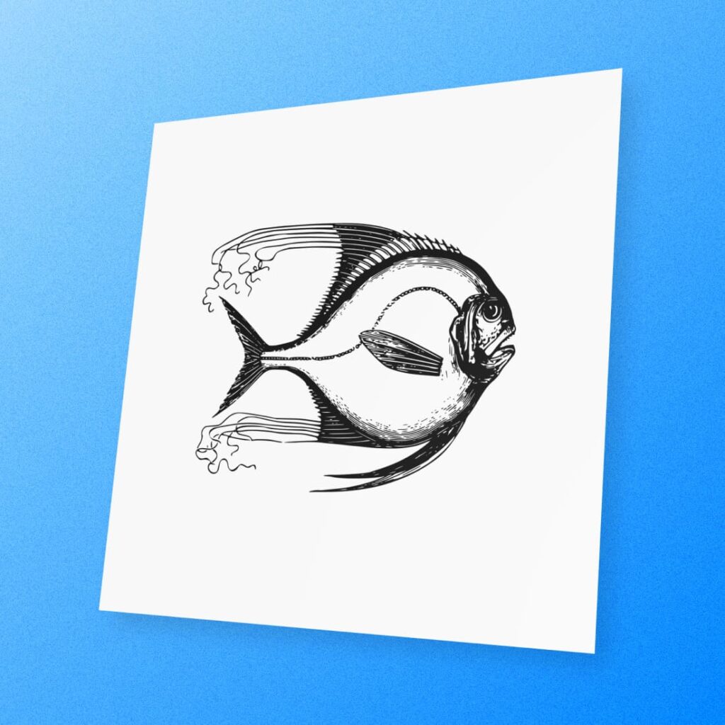 Free Animal Fish Ocean Sea SVG – MasterBundles