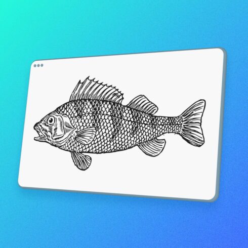 Free Animal Fish Scales Sea SVG – MasterBundles