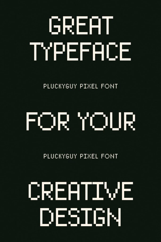 Pluckyguy Pixel Font – MasterBundles