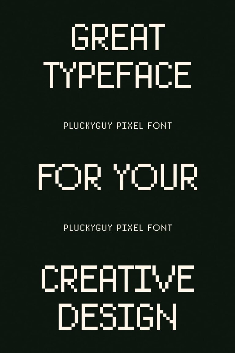 Pluckyguy Pixel Font – MasterBundles